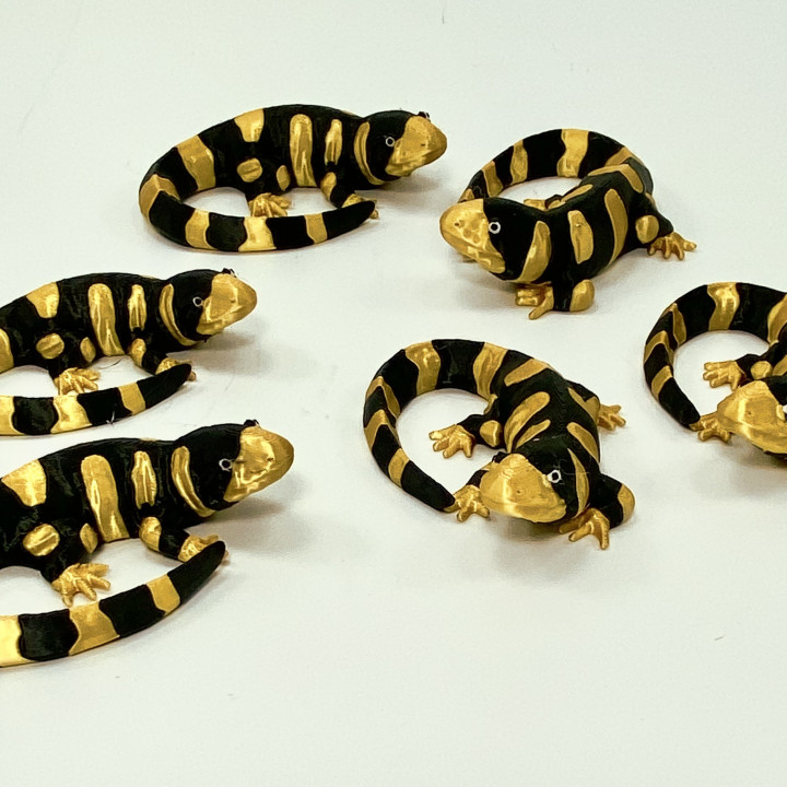 3D Printable Barred Tiger Salamander (multi colour model) by Louise ...