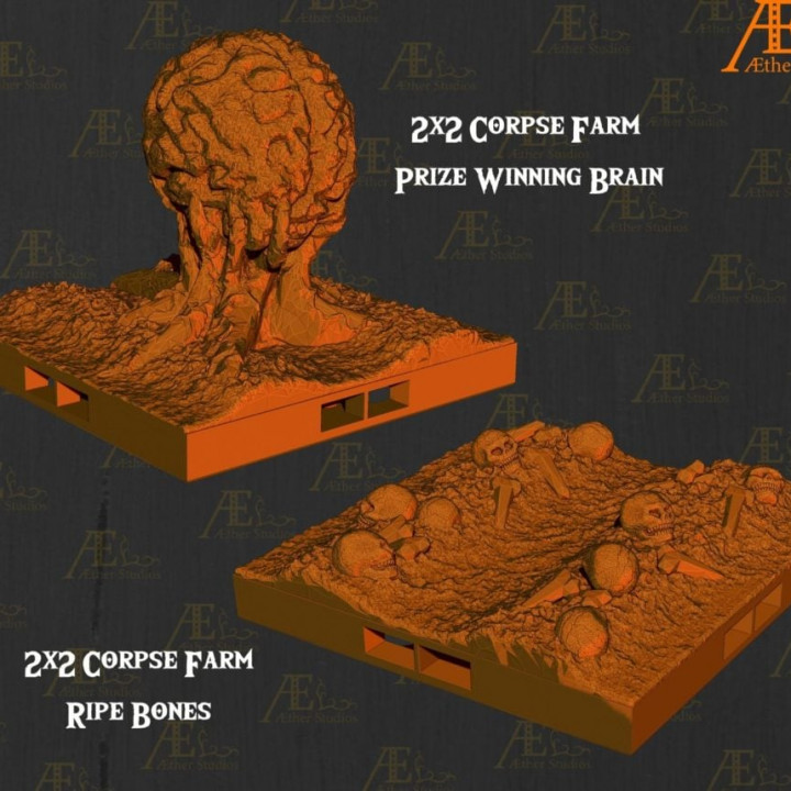 3D Printable AEWEEN02 - Corpse Farm by Aether Studios