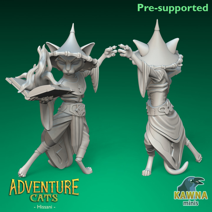 3D Printable Hissani Warlock Cat - Female by Kawna Minis