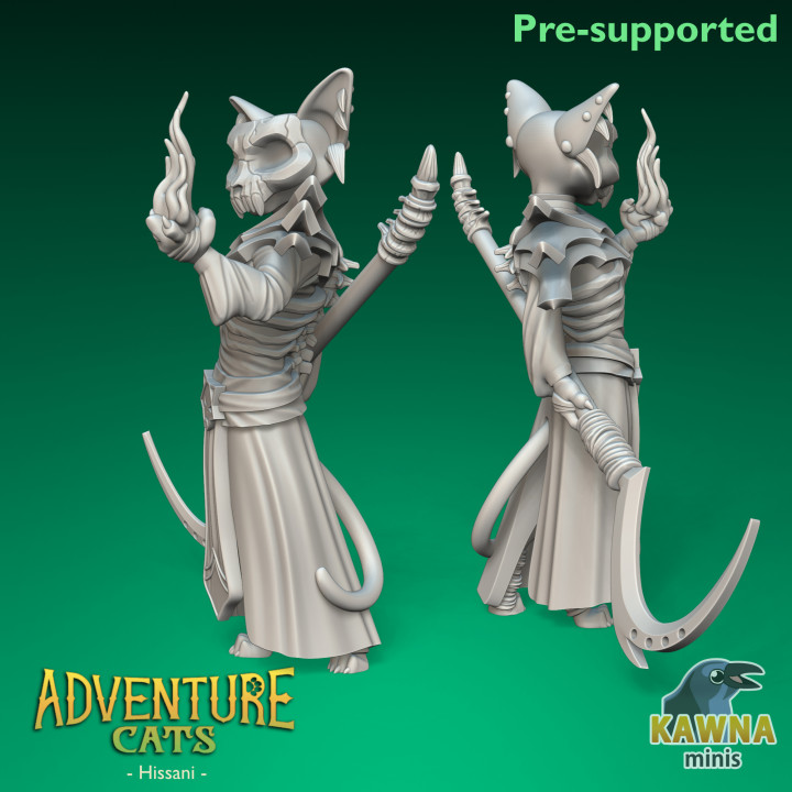 3D Printable Hissani Warlock Cat - Male by Kawna Minis