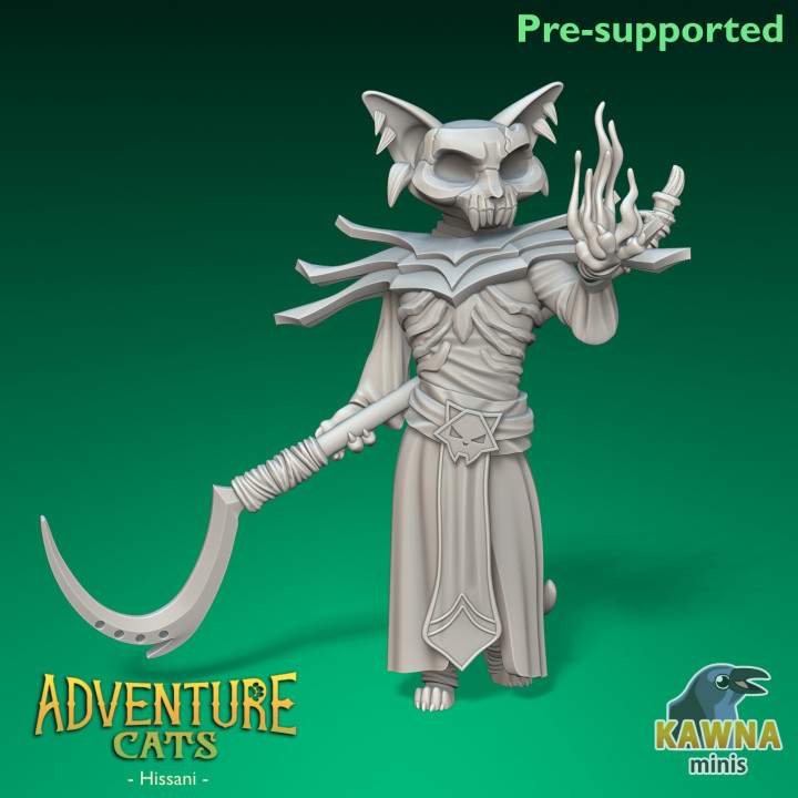 3D Printable Hissani Warlock Cat - Male by Kawna Minis