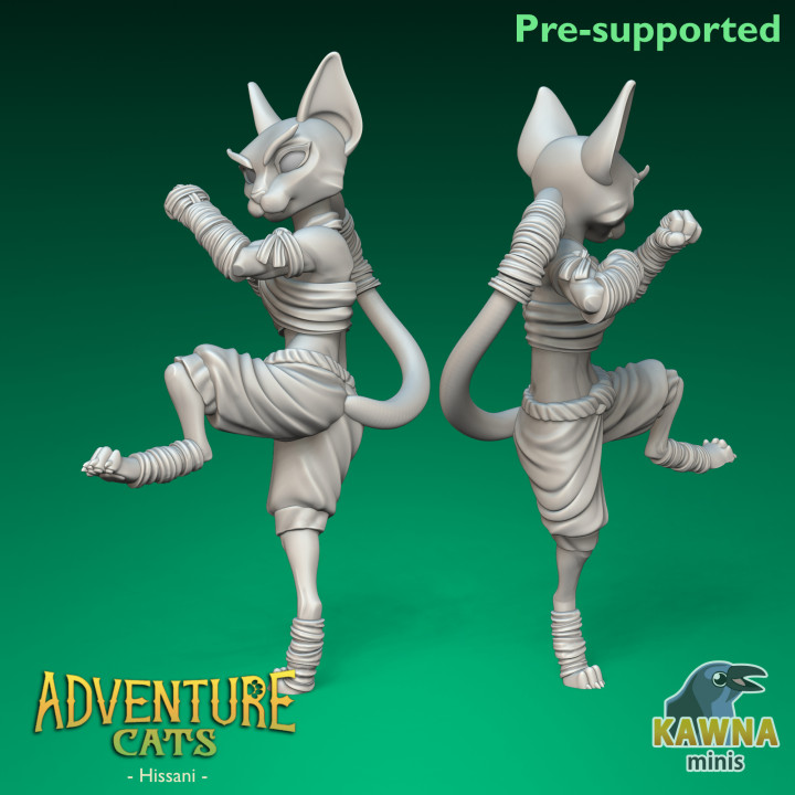 3D Printable Hissani Monk Cat - Female by Kawna Minis
