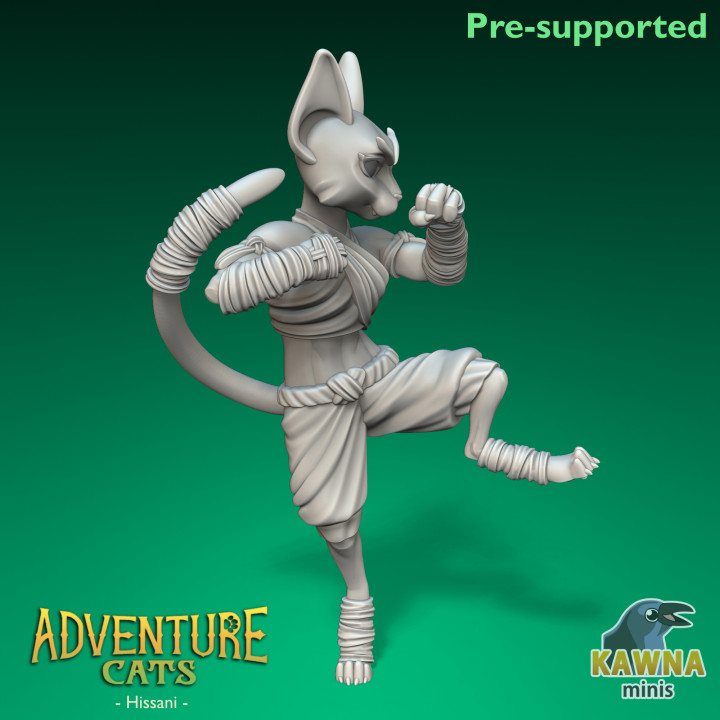 3D Printable Hissani Monk Cat - Female by Kawna Minis