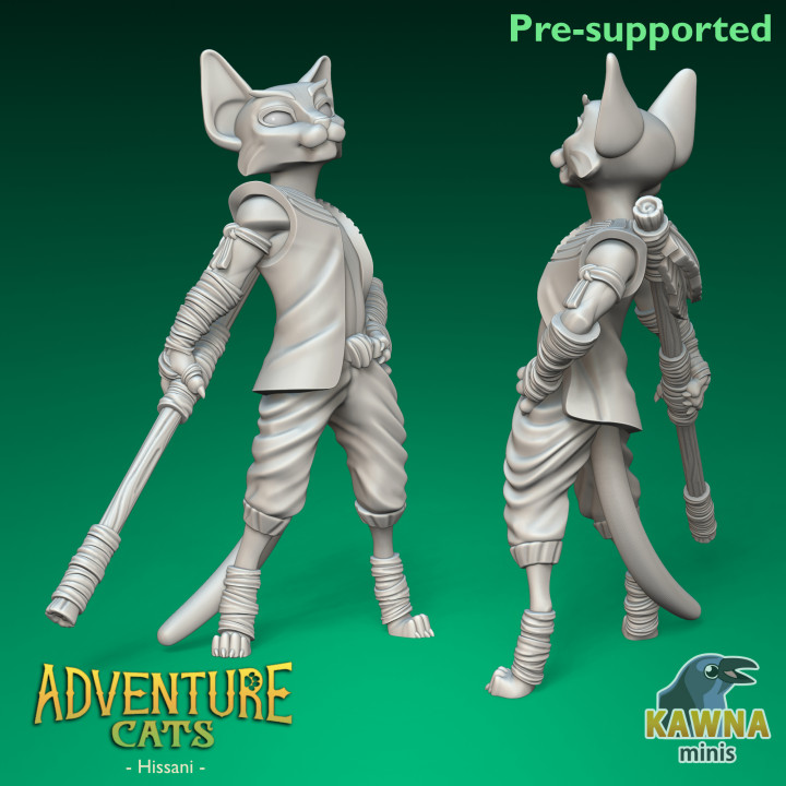 3D Printable Hissani Monk Cat - Male by Kawna Minis