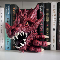3D Printable Dragon Book Nook [FDM/Resin BOOK NOOK] by Miniatures of ...
