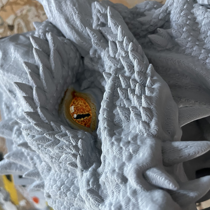 3D Print of Dragon Book Nook [FDM/Resin BOOK NOOK] by ozjohnd