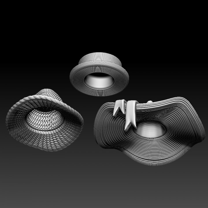 3D Printable STRAW HAT by Dmitry Tishchenkov