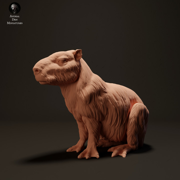 3D Printable Capybara by Animal Den Miniatures