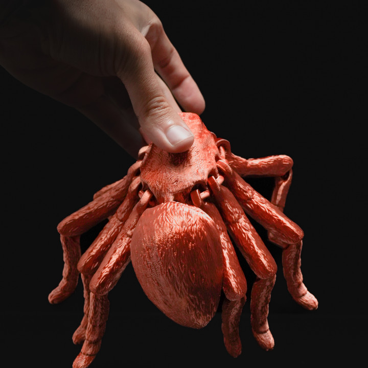 3D Printable Articulated Tarantula by Stlflix