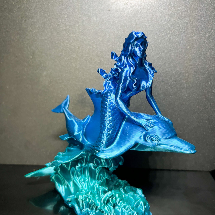 3D Printable Dolphin Mermaid by anthony