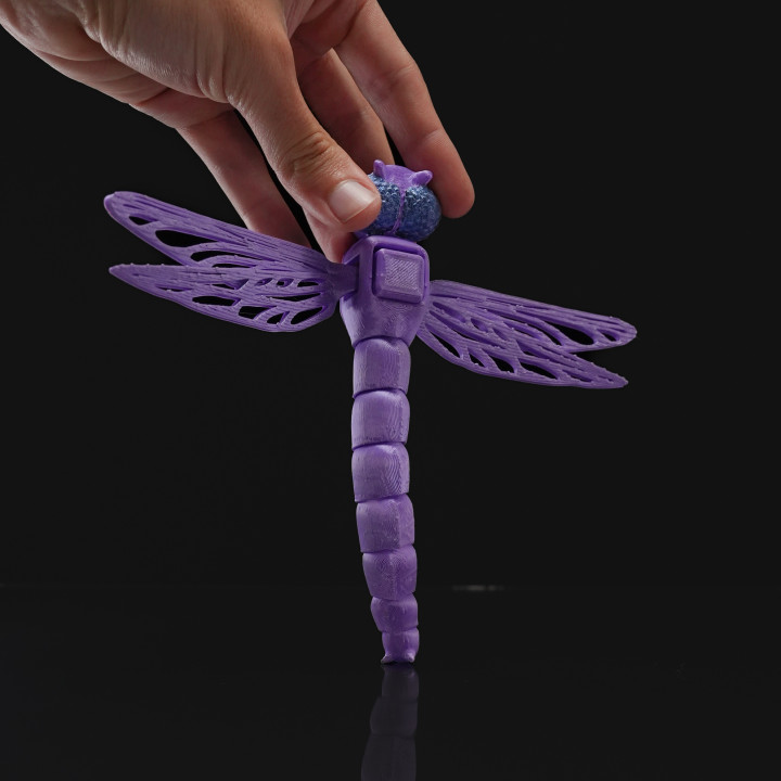 3D Printable DragonFlying by Stlflix
