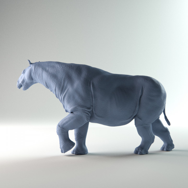 3D Printable Paraceratherium prehistoric rhinoceros 1-35 and 1-72 scale ...