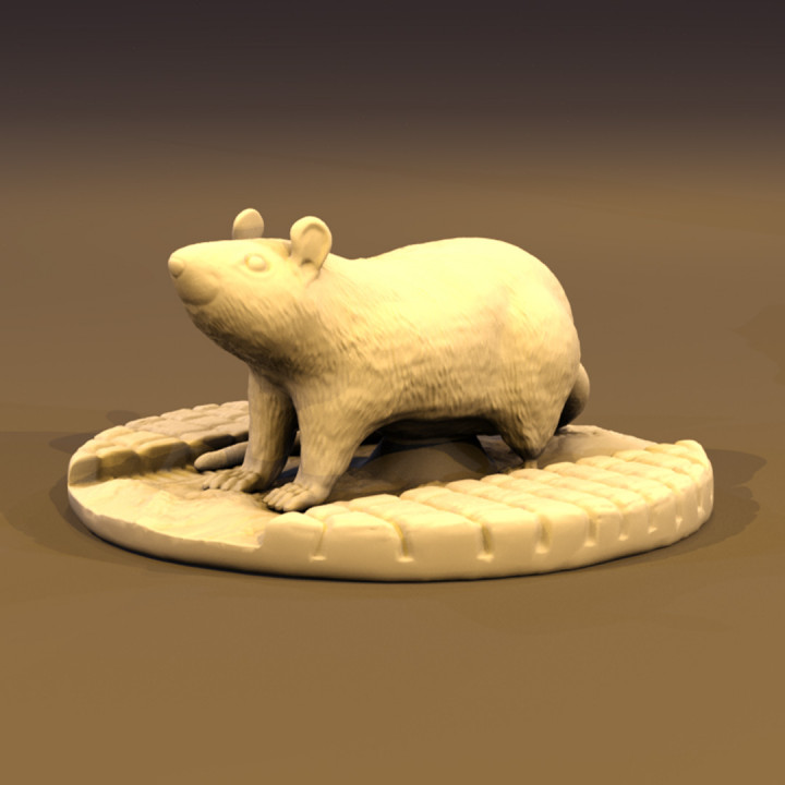 3D Printable Rat by Krakulu