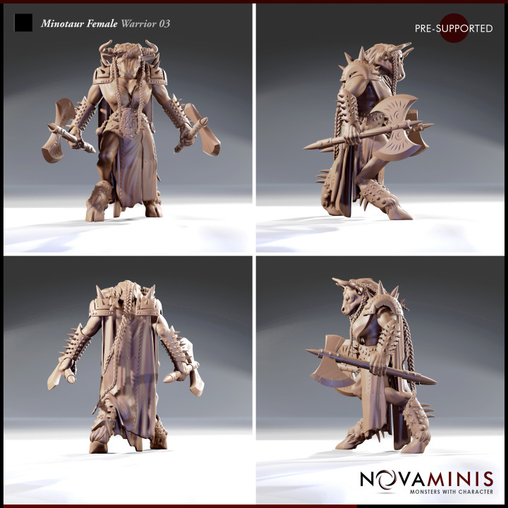 3D Printable Minotaur Female Warrior 03 by NOVAMINIS