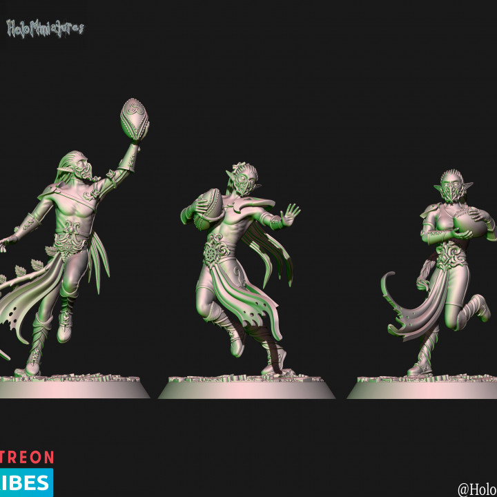 3D Printable wood elves fantasy football team (elf) by HoloMiniatures