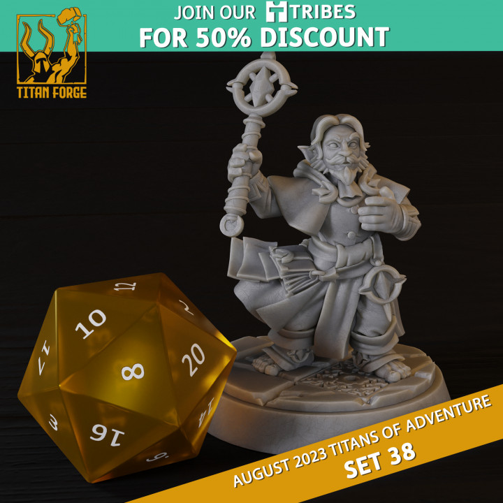 3D Printable RPG - DnD Hero Characters - Titans of Adventure Set 38 by ...