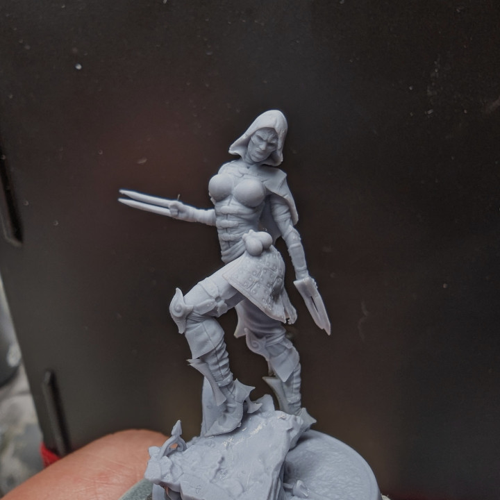 3D Print of The Shadowblade | Lone Heroes | Hero by patrikb