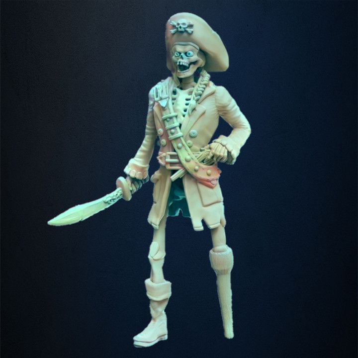 3D Printable Jolly Roger by Gametee 3d Miniatures