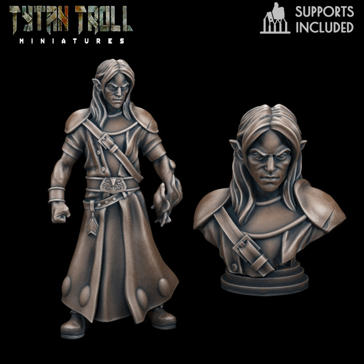 3D Printable Curse Of Strahd Mini/Bust Pack 04 [Pre-Supported] by ...