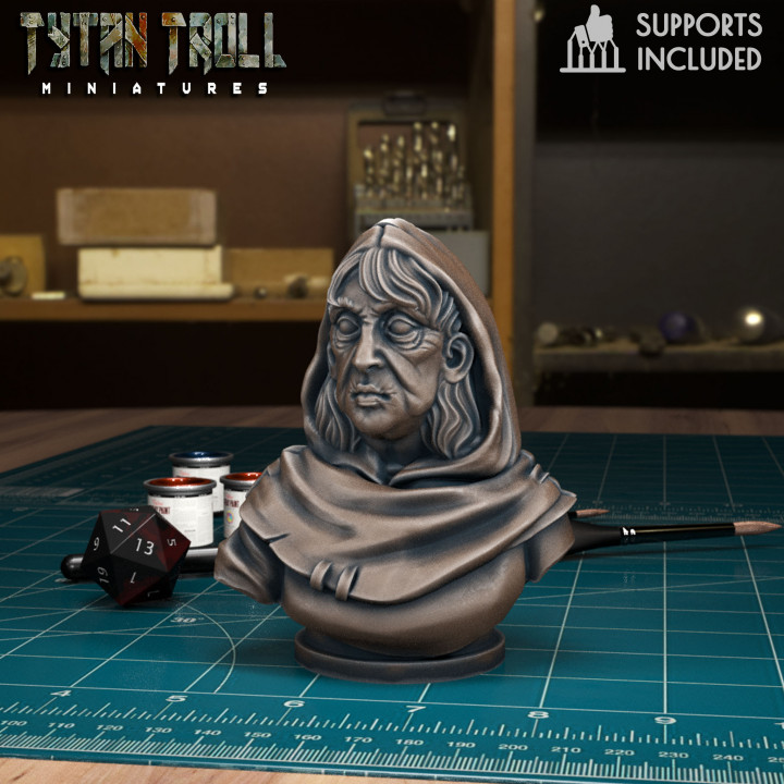 3D Printable Curse Of Strahd Mini/Bust Pack 04 [Pre-Supported] by ...