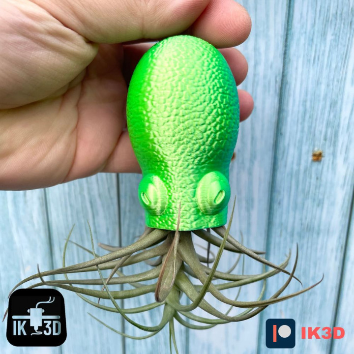3D Printable OCTOPUS AIR PLANT HOLDER - VASE by IK3D