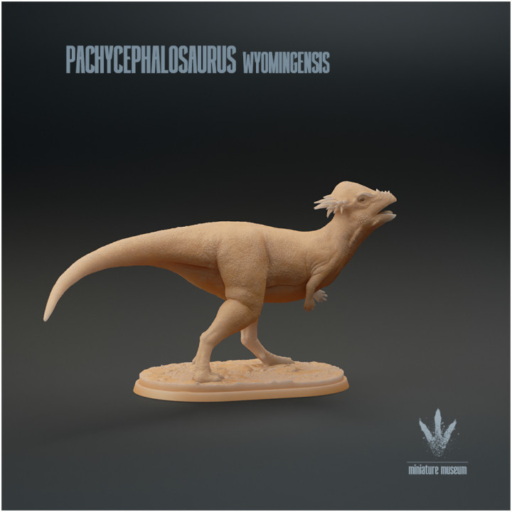 3D Printable Pachycephalosaurus wyomingensis : Vocalizing by Miniature ...