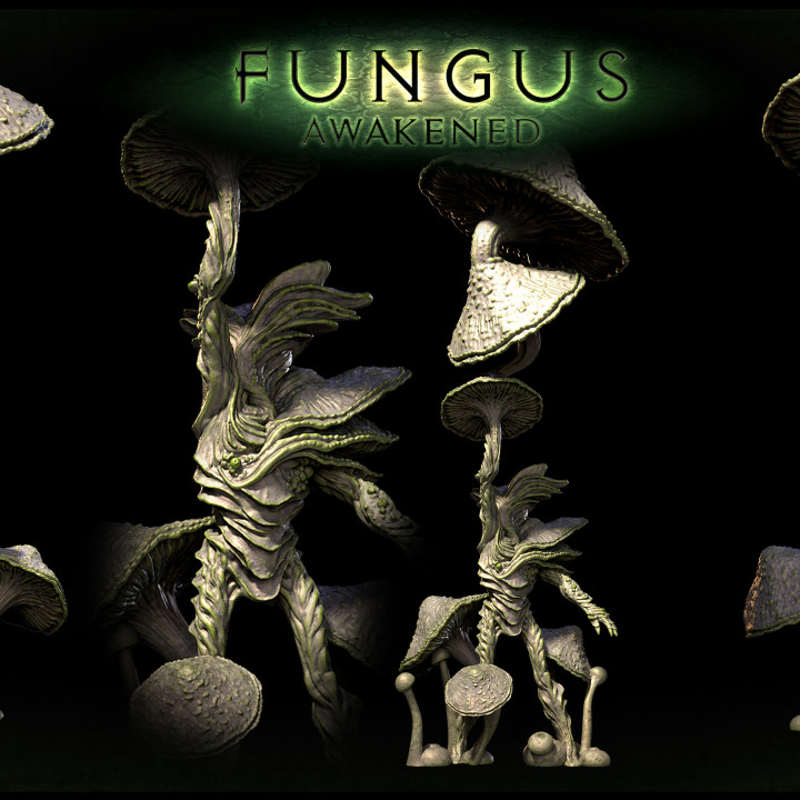 3D Printable Fungus Awakens (MiniMonsterMayhem Release) by Mini Monster Mayhem
