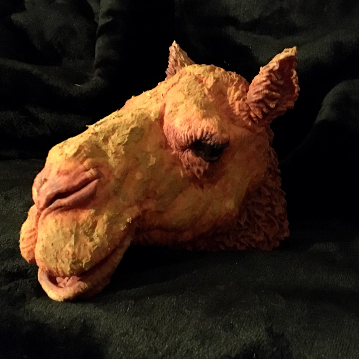 3D Printable Camel Head by David