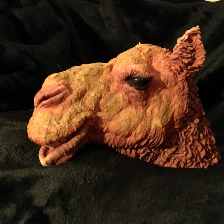 3D Printable Camel Head by David