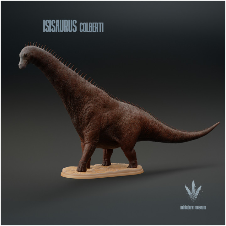 3D Printable Isisaurus colberti : The Indian Giant by Miniature Museum