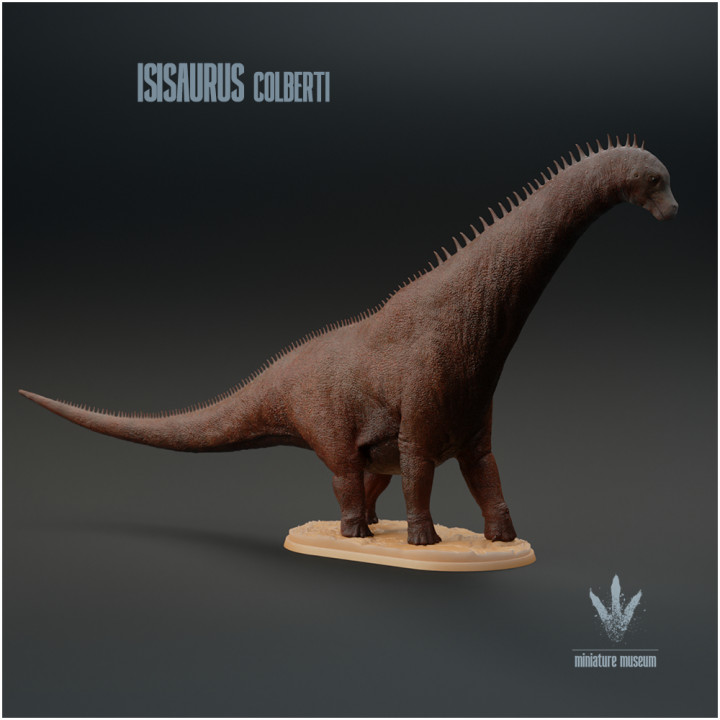 3D Printable Isisaurus colberti : The Indian Giant by Miniature Museum