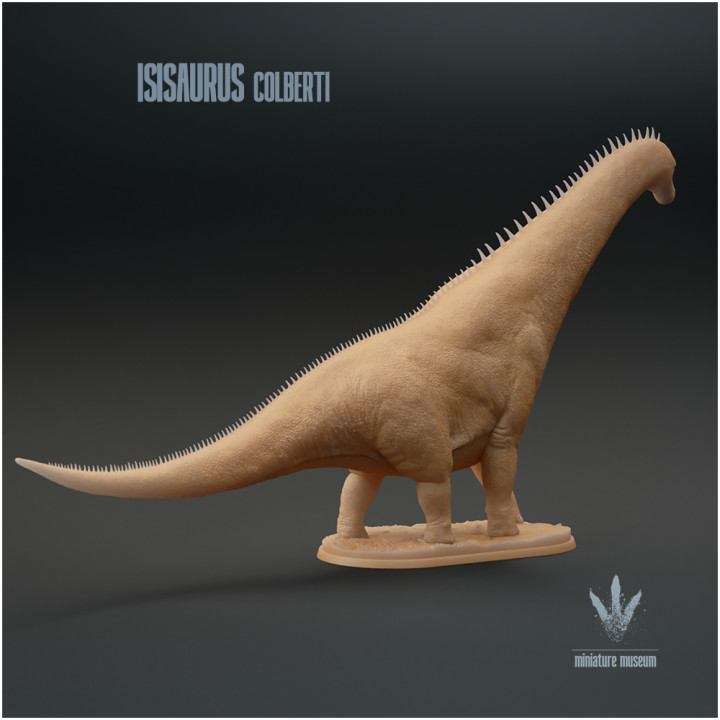 3D Printable Isisaurus colberti : The Indian Giant by Miniature Museum