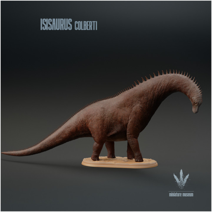 3D Printable Isisaurus colberti : Looking Down by Miniature Museum