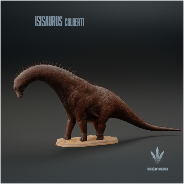 3D Printable Isisaurus colberti : Looking Down by Miniature Museum