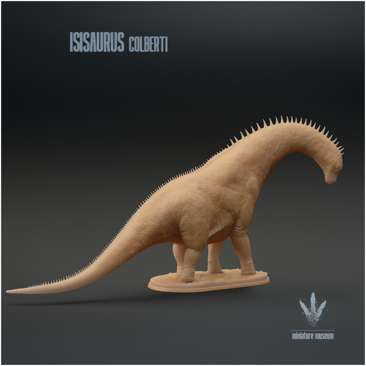 3D Printable Isisaurus colberti : Looking Down by Miniature Museum