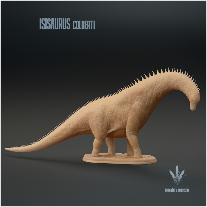3D Printable Isisaurus colberti : Looking Down by Miniature Museum