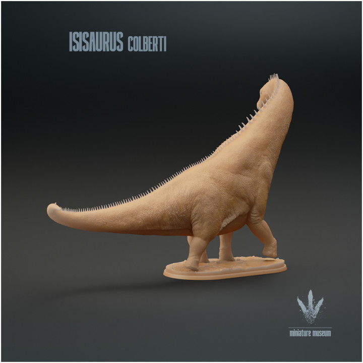 3D Printable Isisaurus colberti : Walking by Miniature Museum