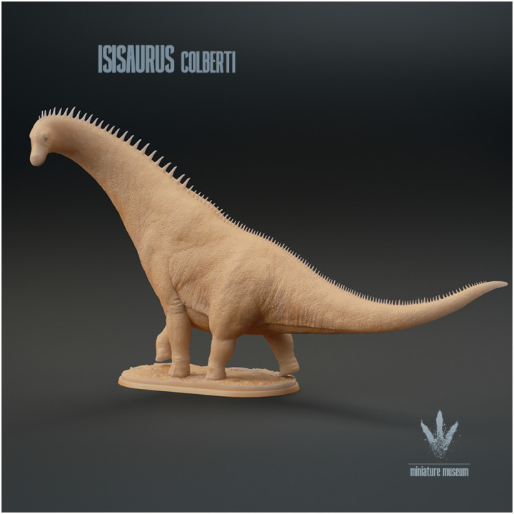 3D Printable Isisaurus colberti : Walking by Miniature Museum