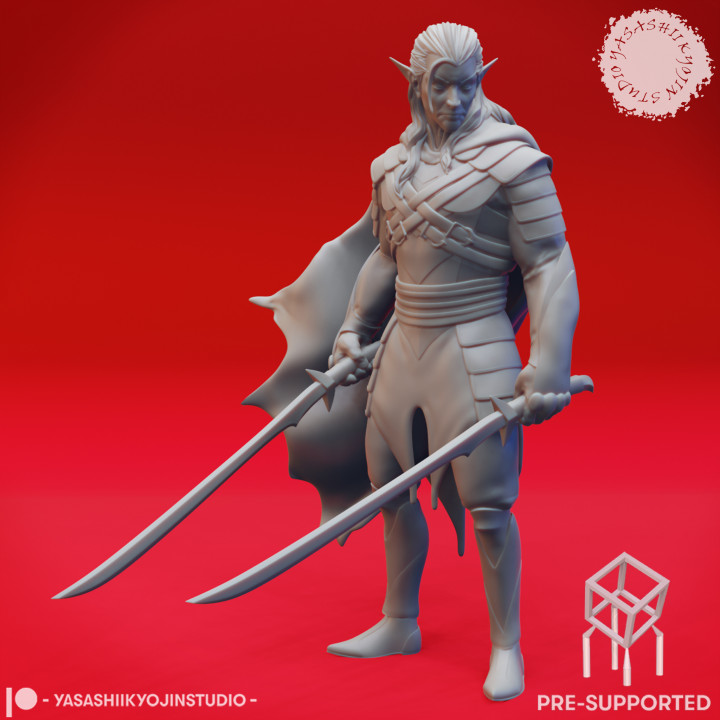 3D Printable Eclipse of Drow - Tabletop Miniatures (Pre-Supported) by ...