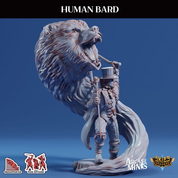 3D Printable Human Bard Male by Sordane Publishing