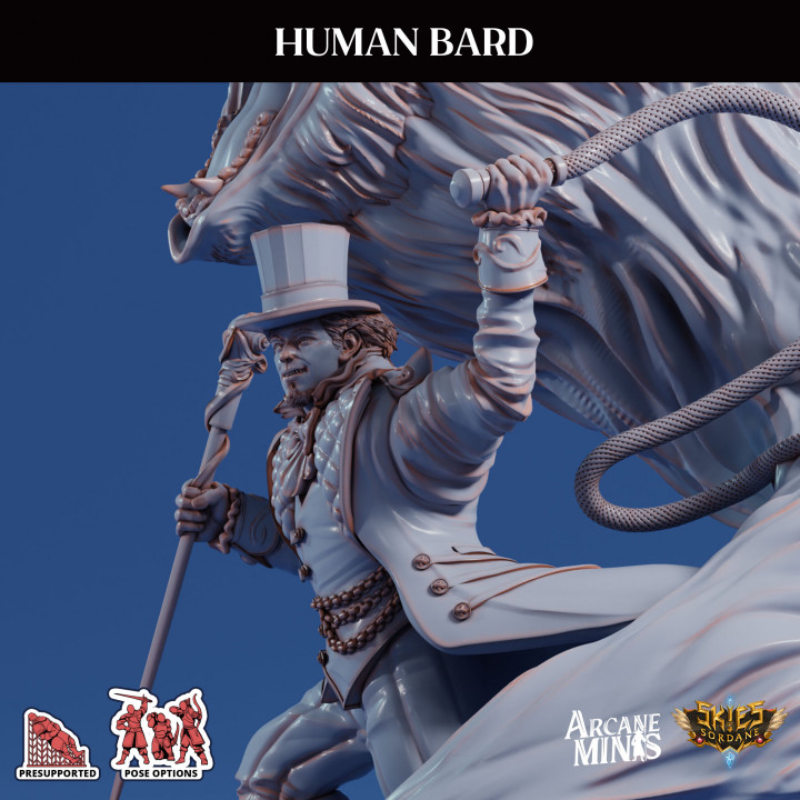 3D Printable Human Bard Male by Sordane Publishing