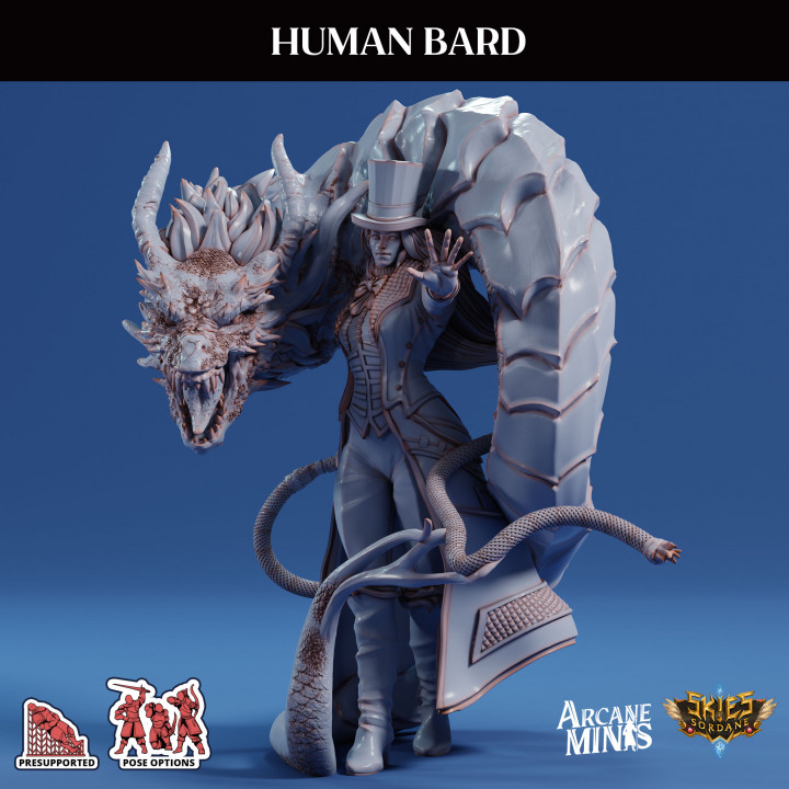 3D Printable Human Bard Female by Sordane Publishing