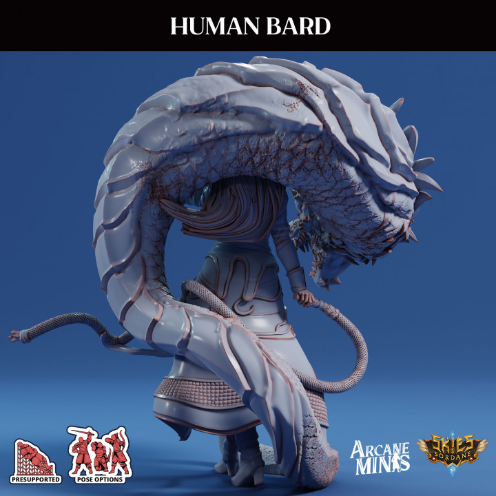 3D Printable Human Bard Female by Sordane Publishing
