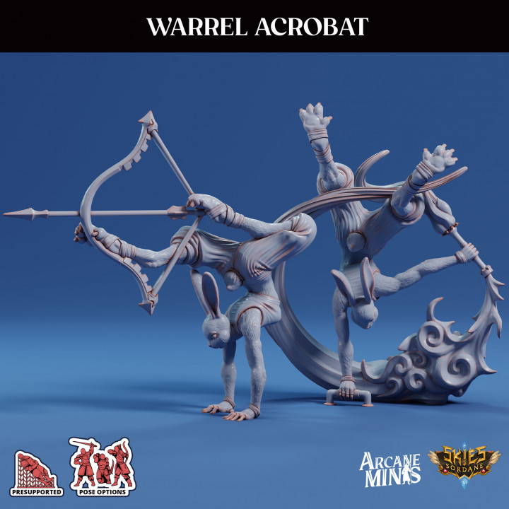 3D Printable Warrel Acrobat by Sordane Publishing