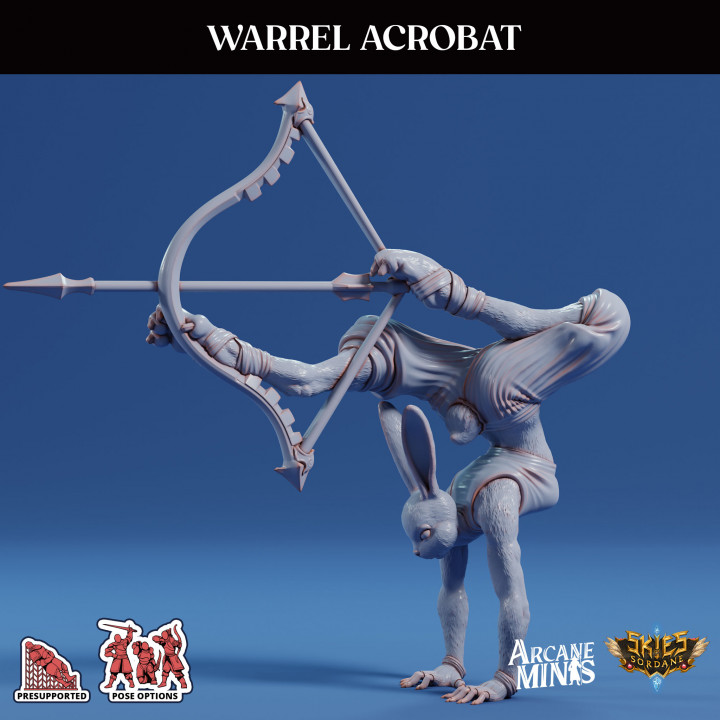3D Printable Warrel Acrobat by Sordane Publishing