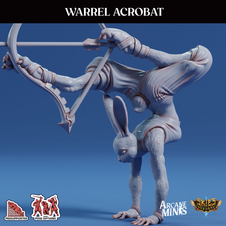 3D Printable Warrel Acrobat by Sordane Publishing