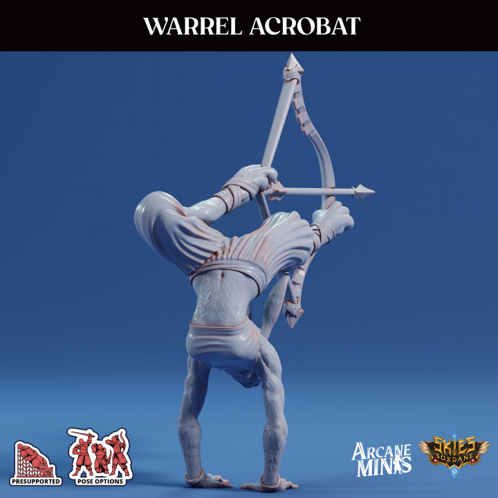 3D Printable Warrel Acrobat by Sordane Publishing