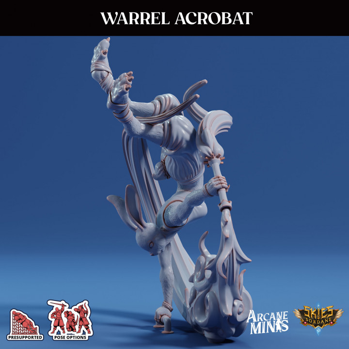 3D Printable Warrel Acrobat by Sordane Publishing