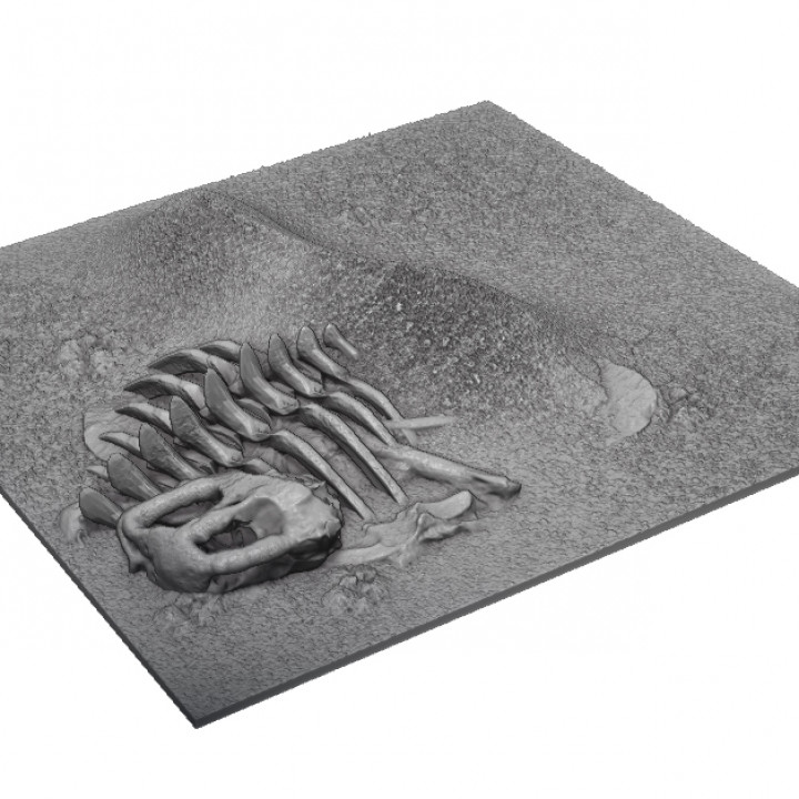 3D printable desert scenery and painting guide Campaign - MyMiniFactory