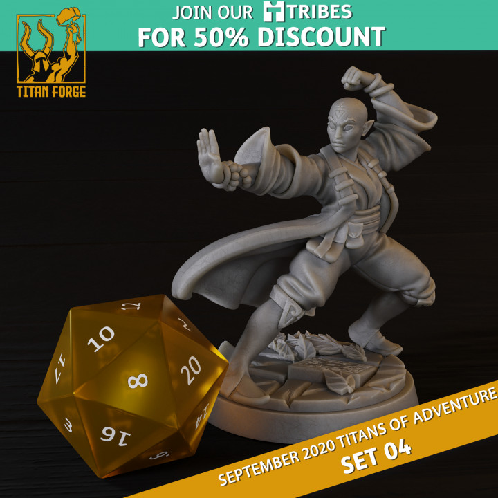 3D Printable Elf Female Monk - RPG Hero Character D&D 5e - Titans of ...